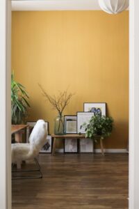 Top 15 Colour Combinations For Hall With Texture: Have A Look